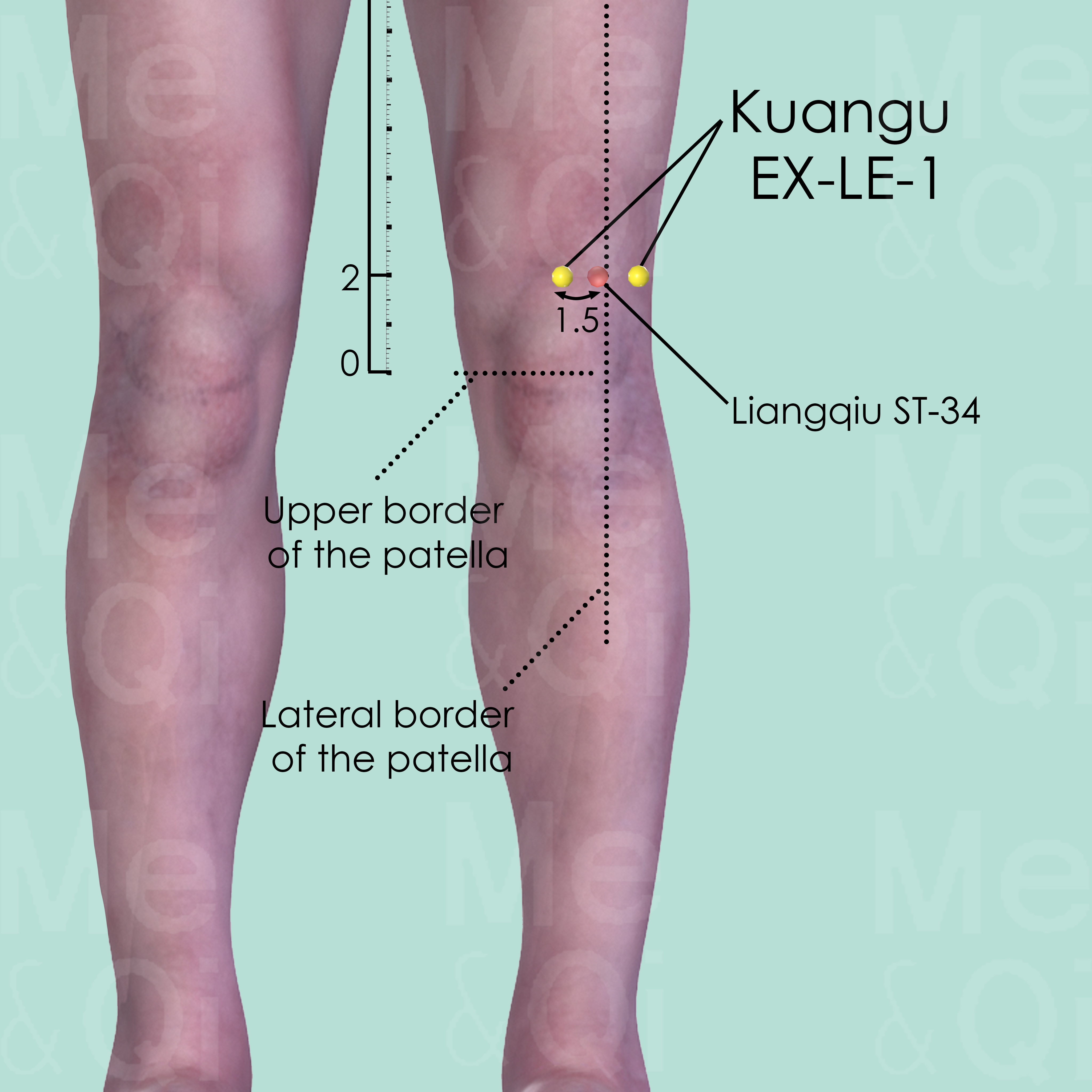 Kuangu EX-LE-1 - Acupuncture Point | Me & Qi