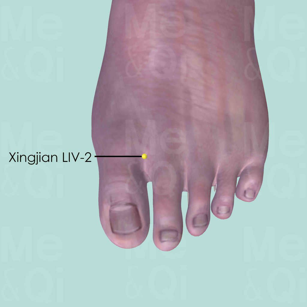 Xingjian LR-2 - Acupuncture Point | Me & Qi