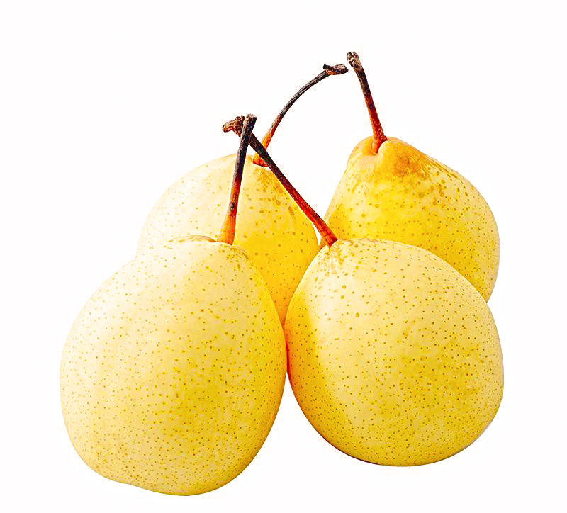 Li Pi (Pear skins) - TCM Herb Information | Me & Qi