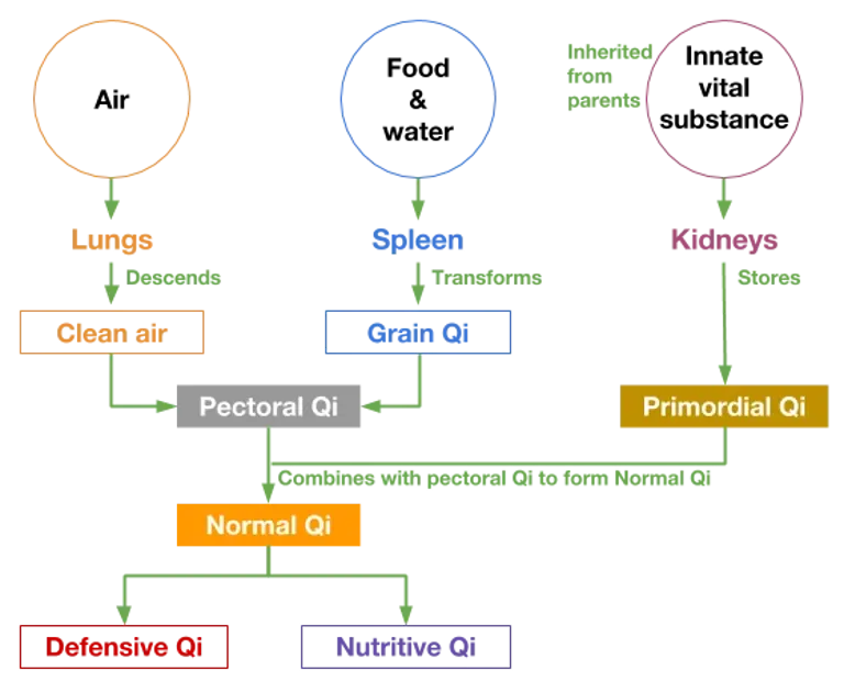 What is Qi in Chinese Medicine? | Me & Qi Blog
