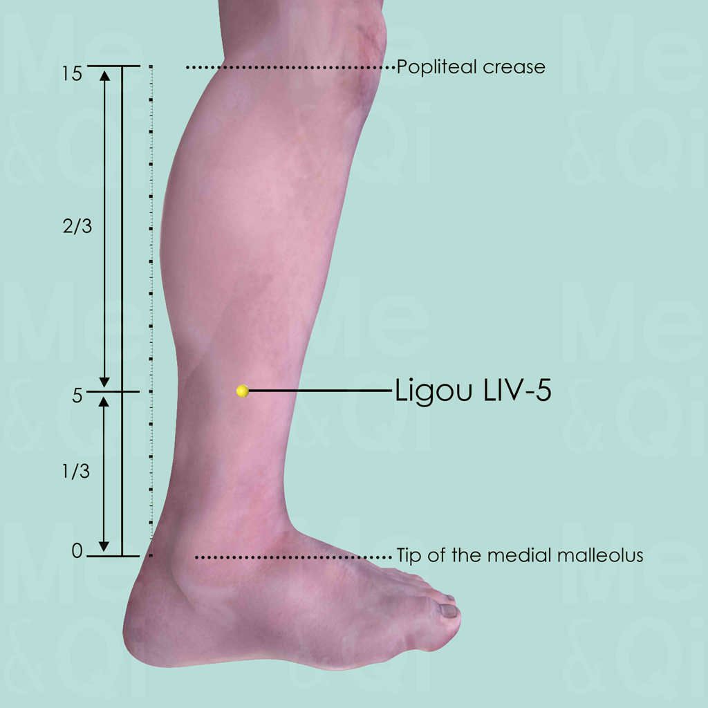 Ligou LR-5 - Acupuncture Point | Me & Qi