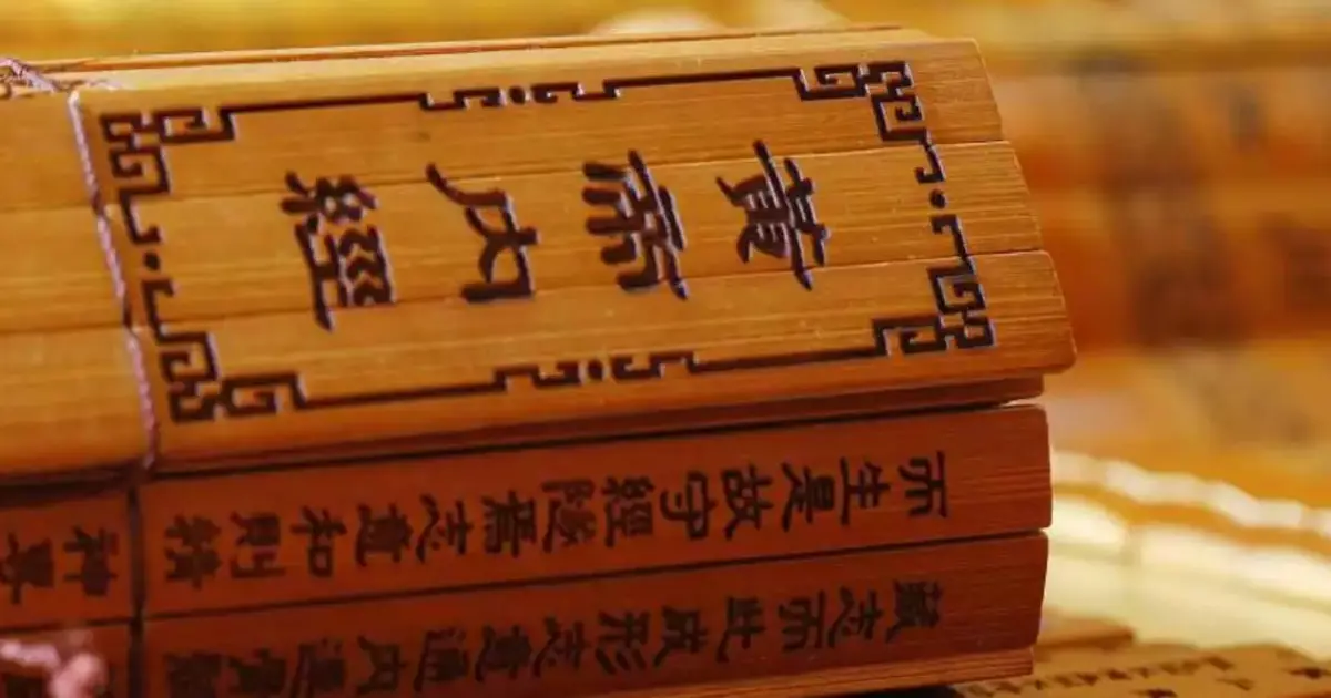 What are Zang-Fu organs in Chinese Medicine? | Me & Qi Blog