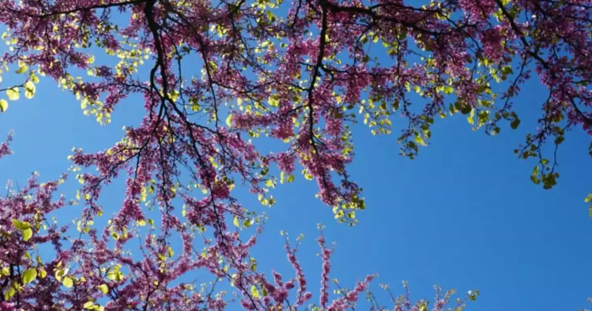 Eight Gathering (Hui) Points | Me & Qi Blog