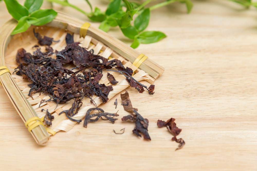 Si Hai Shu Yu Wan - TCM Formula | Me & Qi