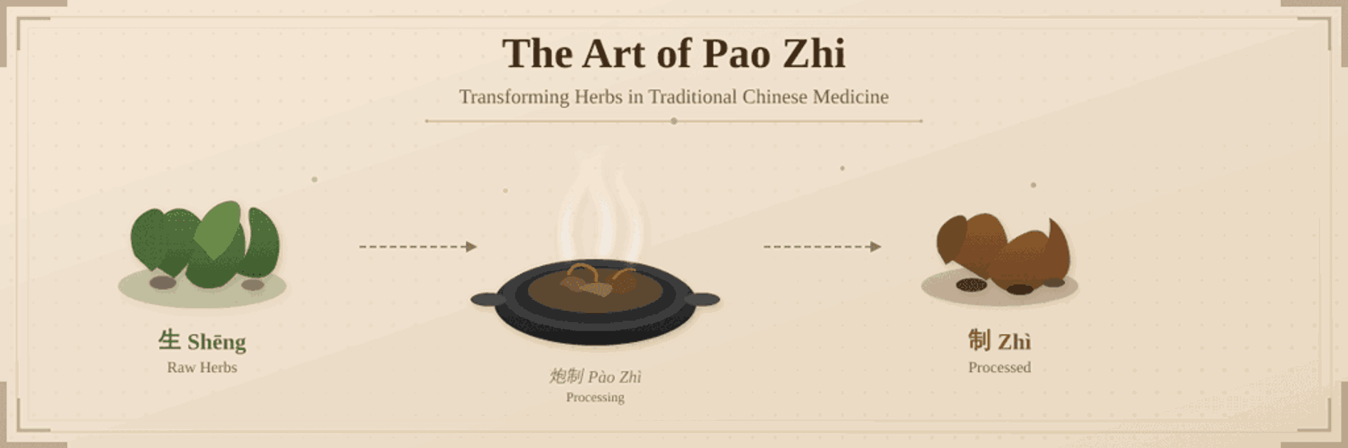 Pao Zhi: Understanding Processed vs. Raw Herbs in Traditional Chinese ...