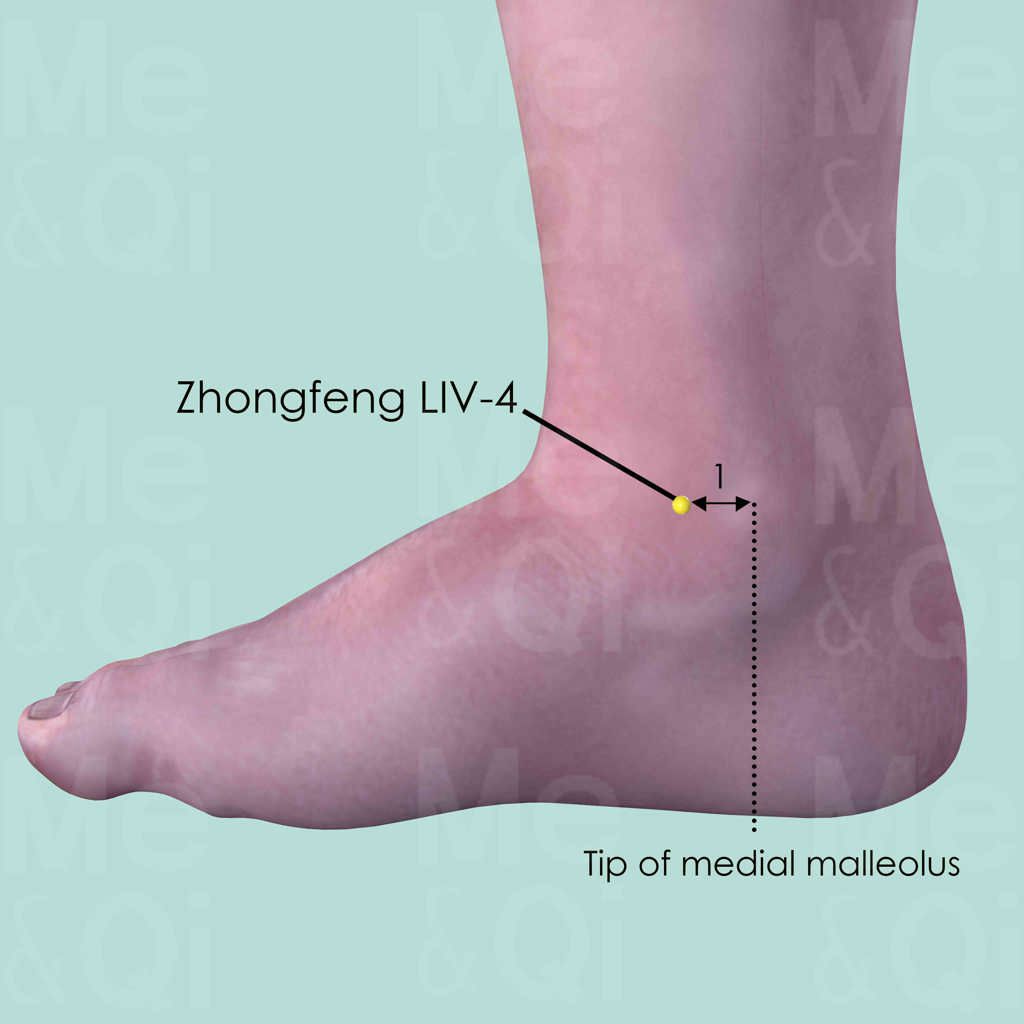 Zhongfeng LR-4 - Acupuncture Point | Me & Qi