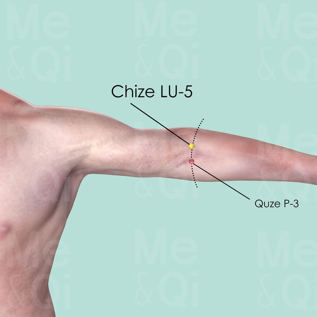 Chize LU-5 - Acupuncture Point | Me & Qi