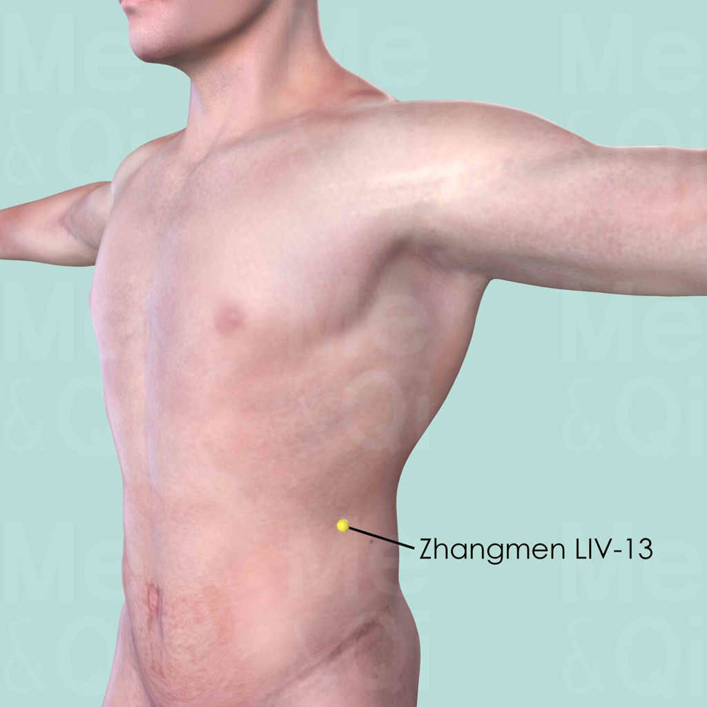 Zhangmen LR-13 - Acupuncture Point | Me & Qi