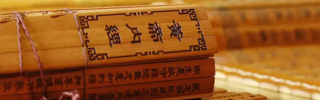 What are Zang-Fu organs in Chinese Medicine? | Me & Qi Blog