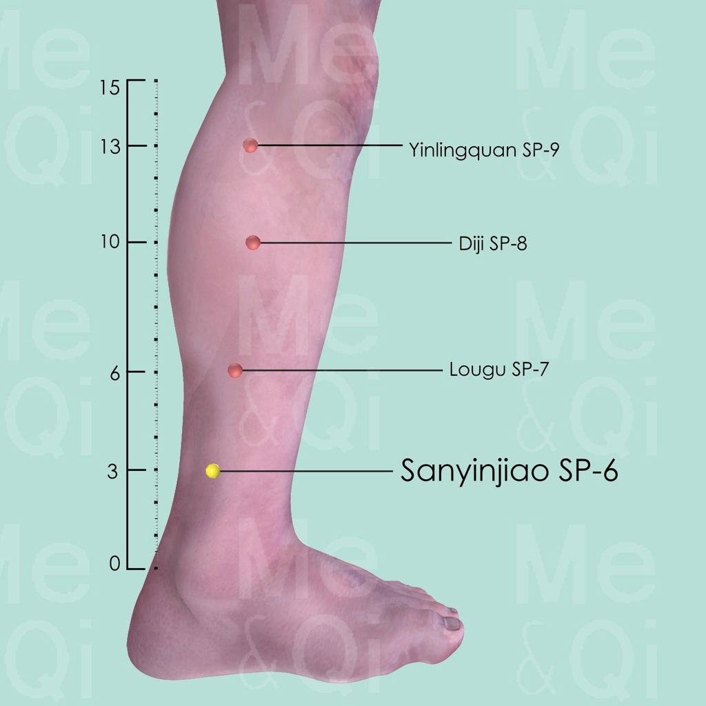 Sanyinjiao SP-6 - Acupuncture Point | Me & Qi